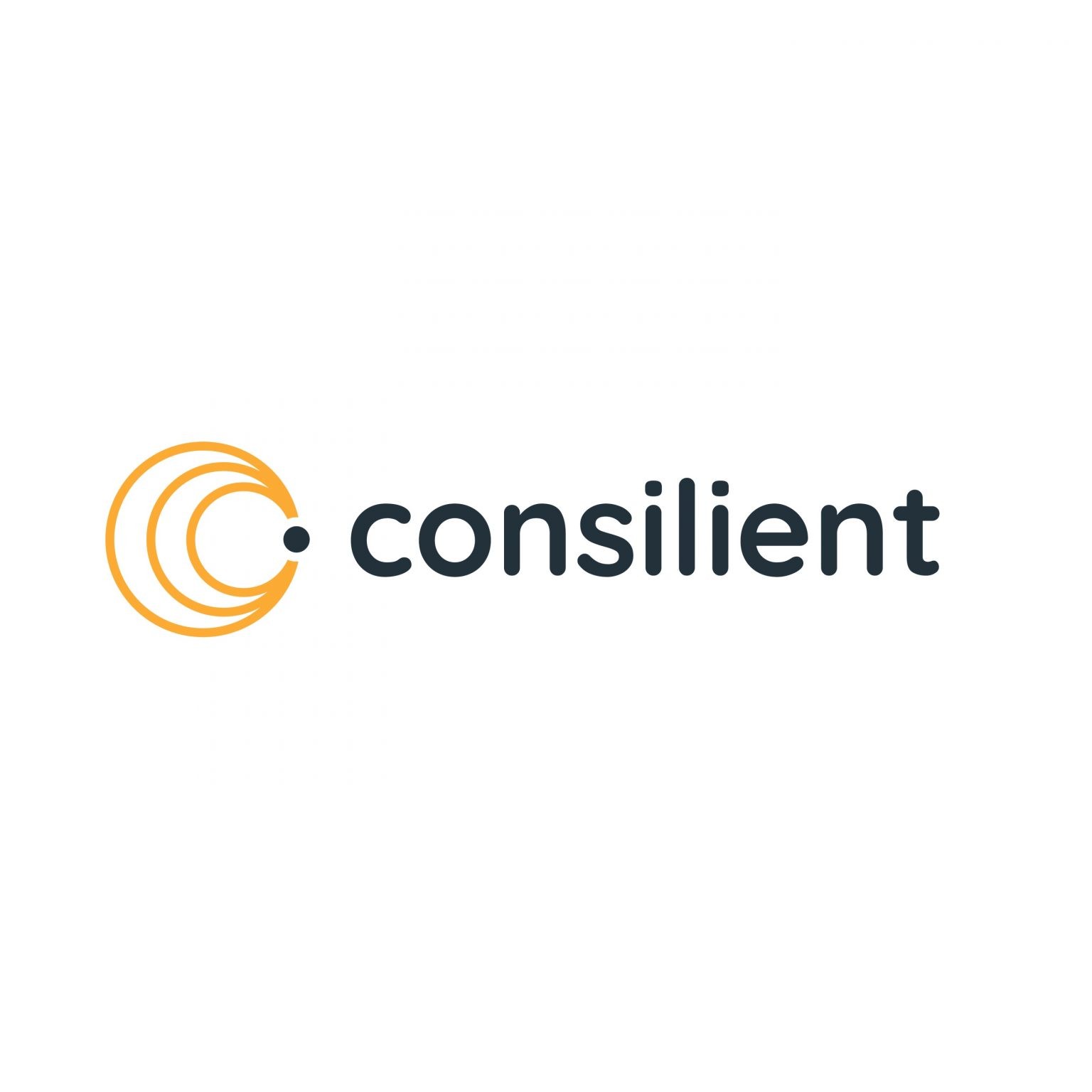 Research Officer - Consilient - Hargeisa - QaranJobs.com - somali jobs ...